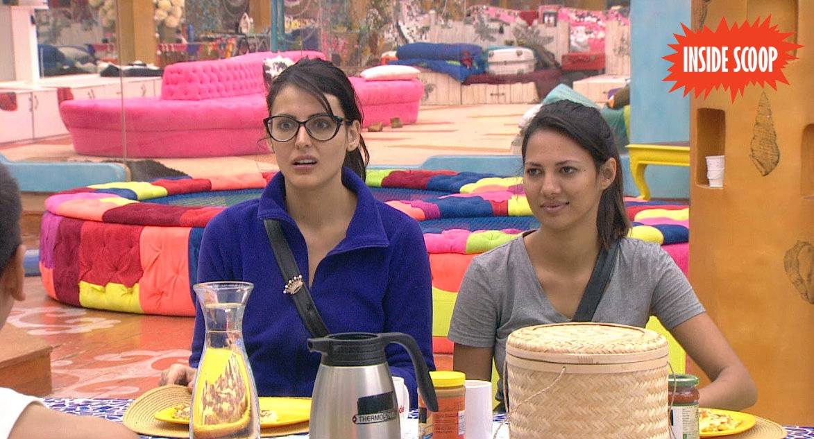 Bigg Boss 9, Day 98: Who is the real 'Diva' of the BB house? - Colors Tv