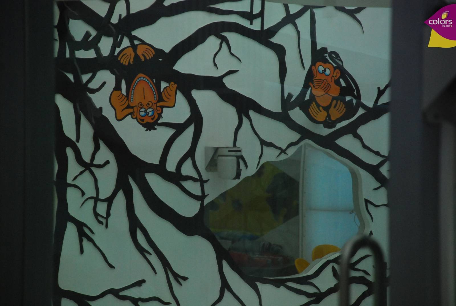 First Look: Bigg Boss' House - Colors Tv