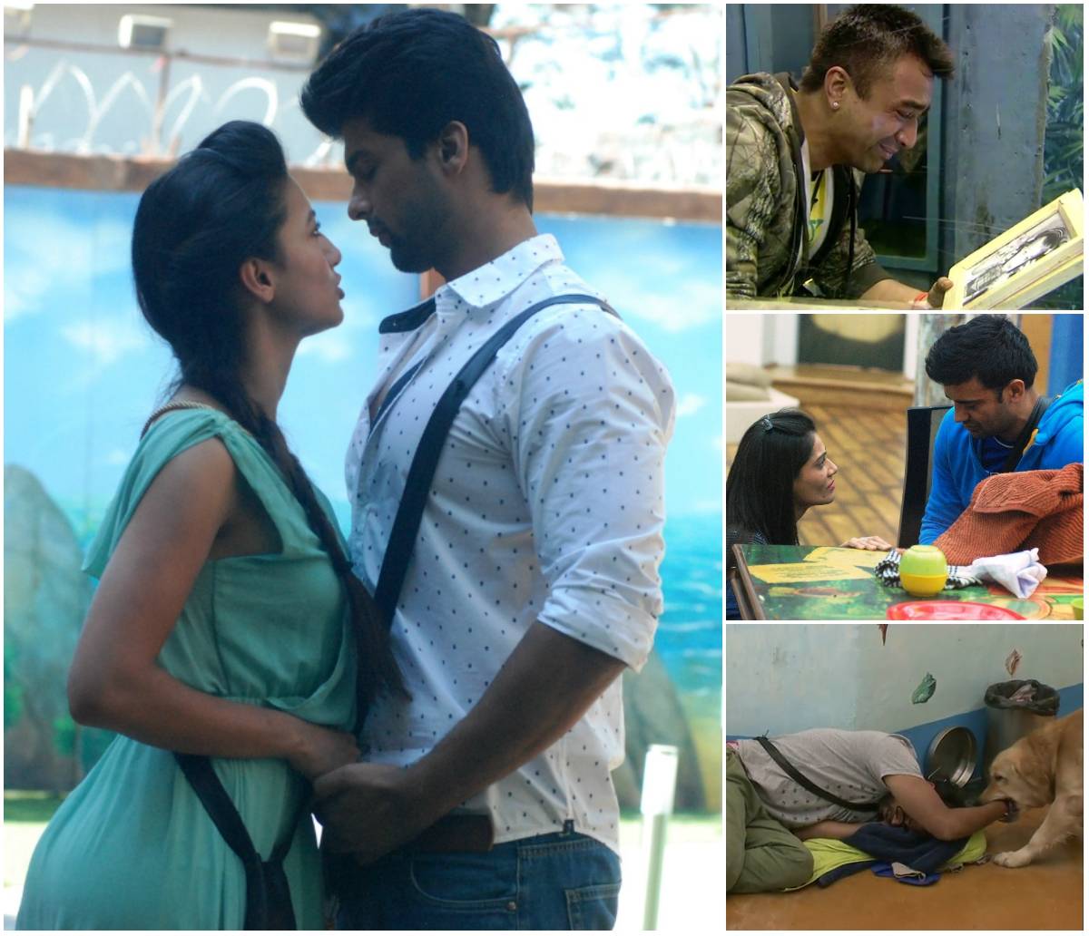 Top 7 Aww moments - Colors Tv