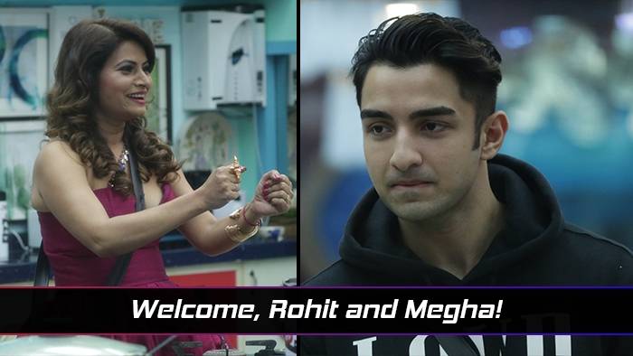 Wild Card Entry 2.0! - Colors Tv